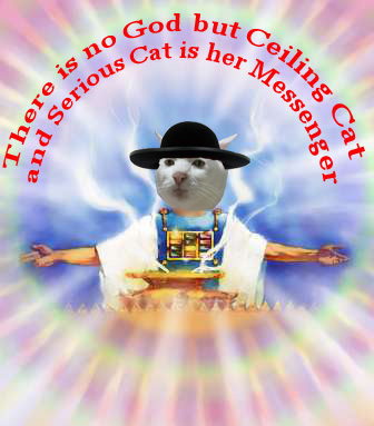 Serious Cat... - QBN